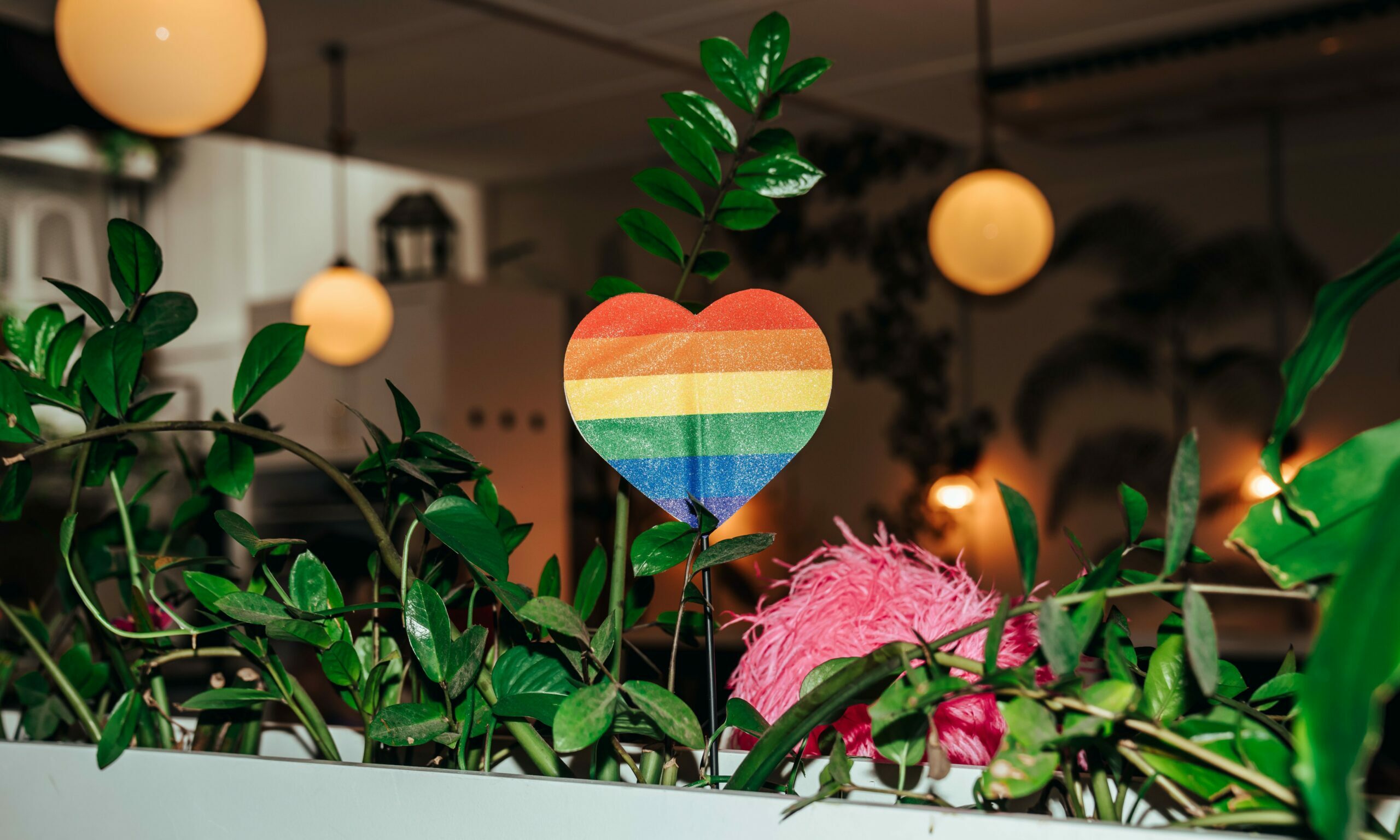 Mardi Gras - The Butler Sydney